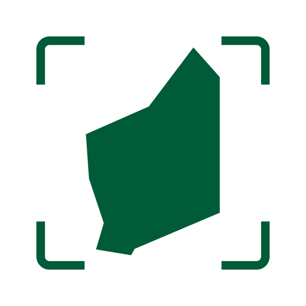 Download the SafeWA App